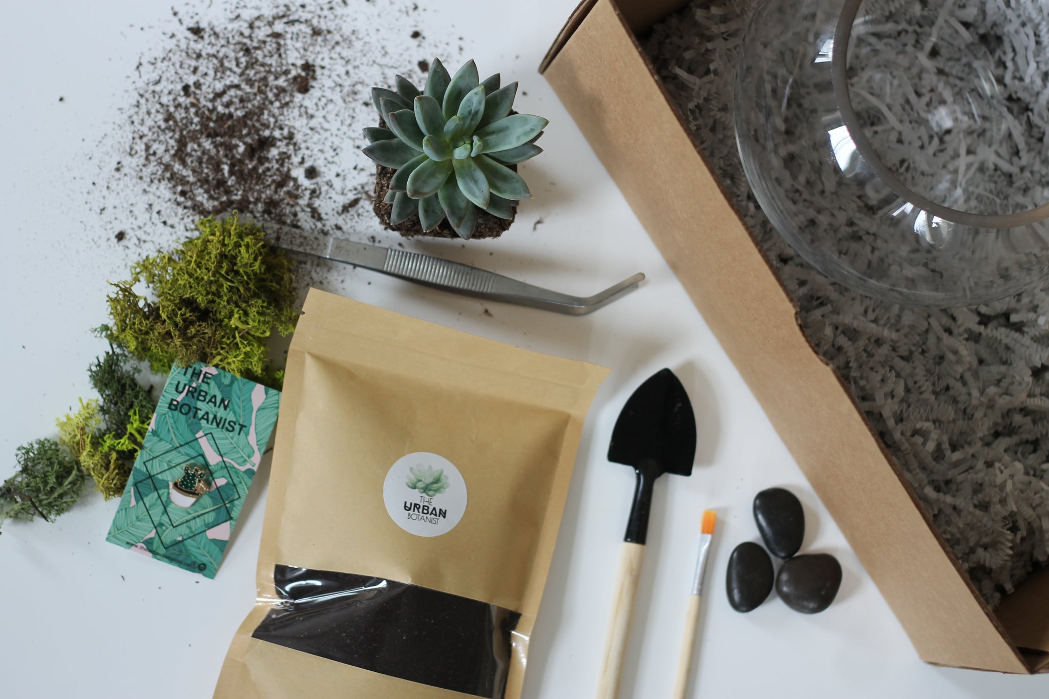 DIY KITS – The Urban Botanist Inc